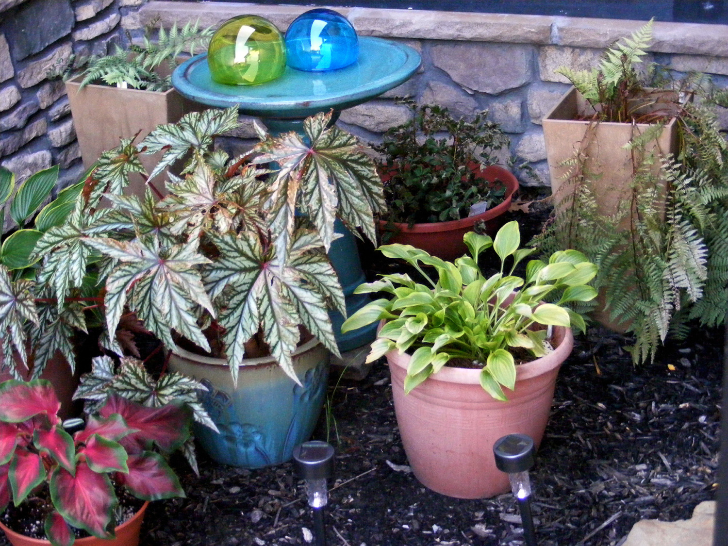 Window vignette - Northeast Ohio Thrive